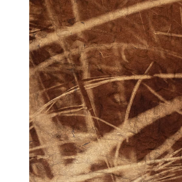 Annette Guy, Grasslands - VNA Art & Soup 2022 | Mobile bidding ...